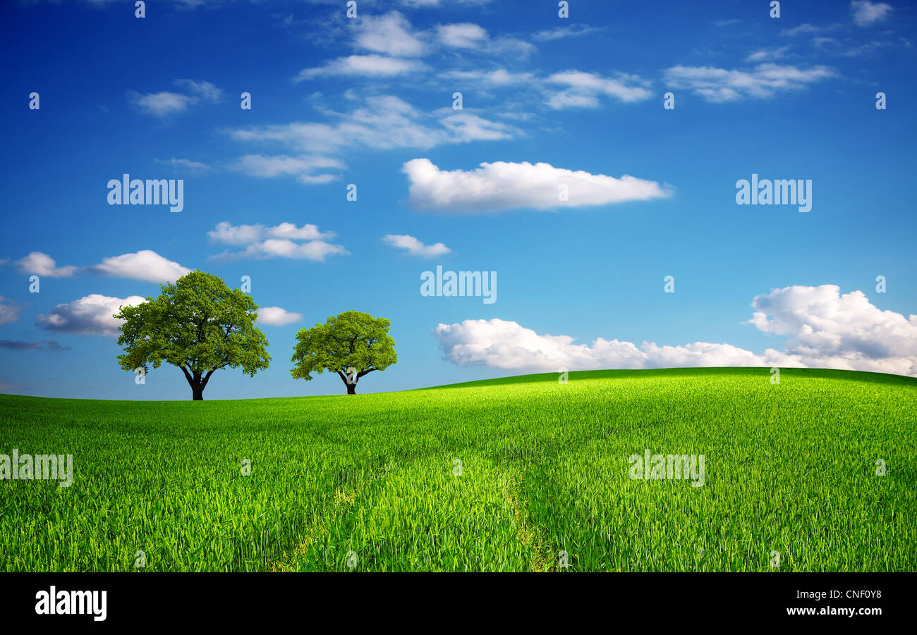 Green field in spring Stock Photo - Alamy
