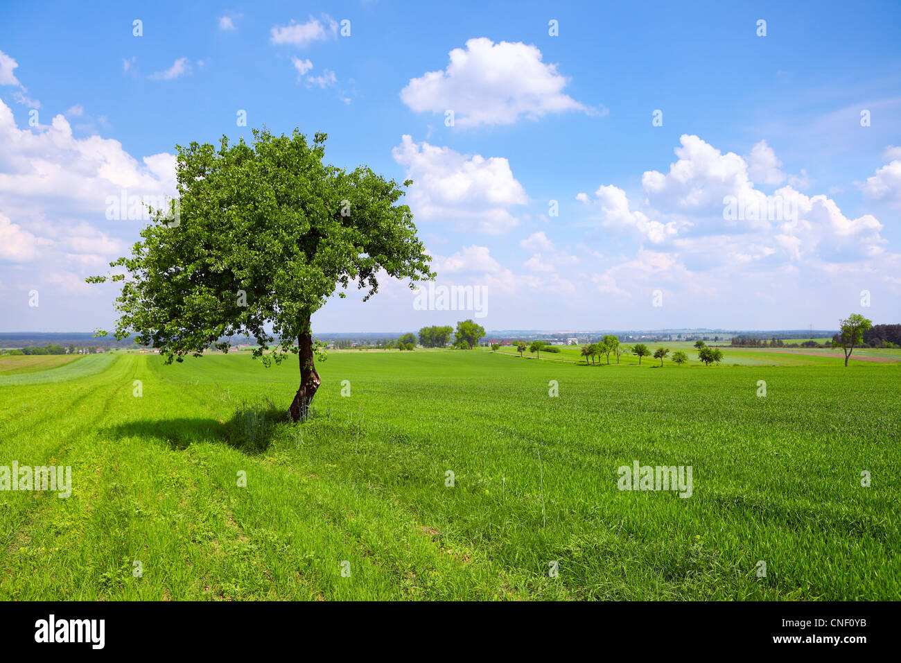 The plains of heaven hi-res stock photography and images - Alamy