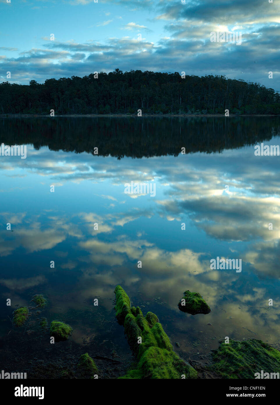 Wallaga lake national park hi-res stock photography and images - Alamy