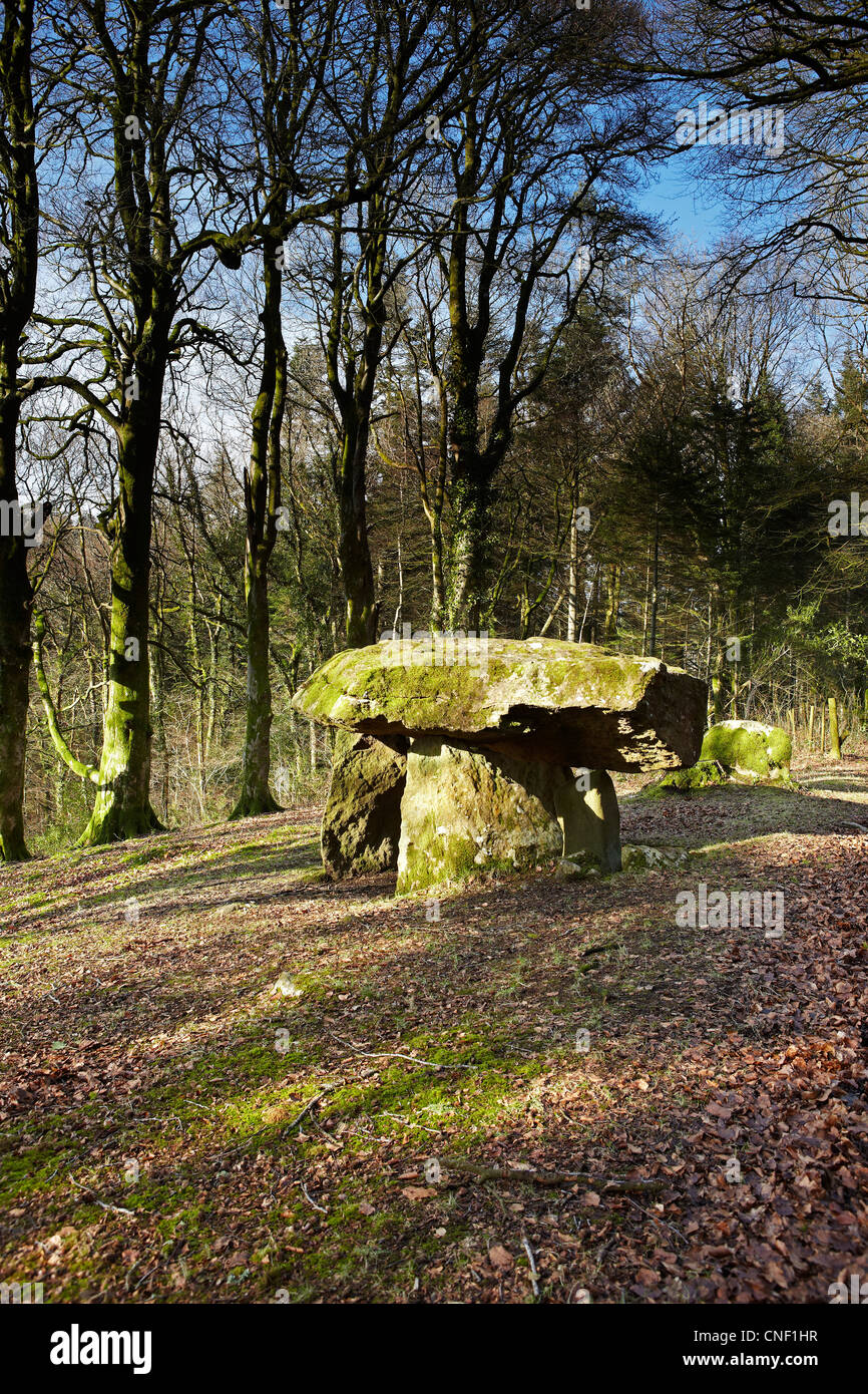 Neolithic tomb wales uk dolmen carmarthenshire hi-res stock photography ...