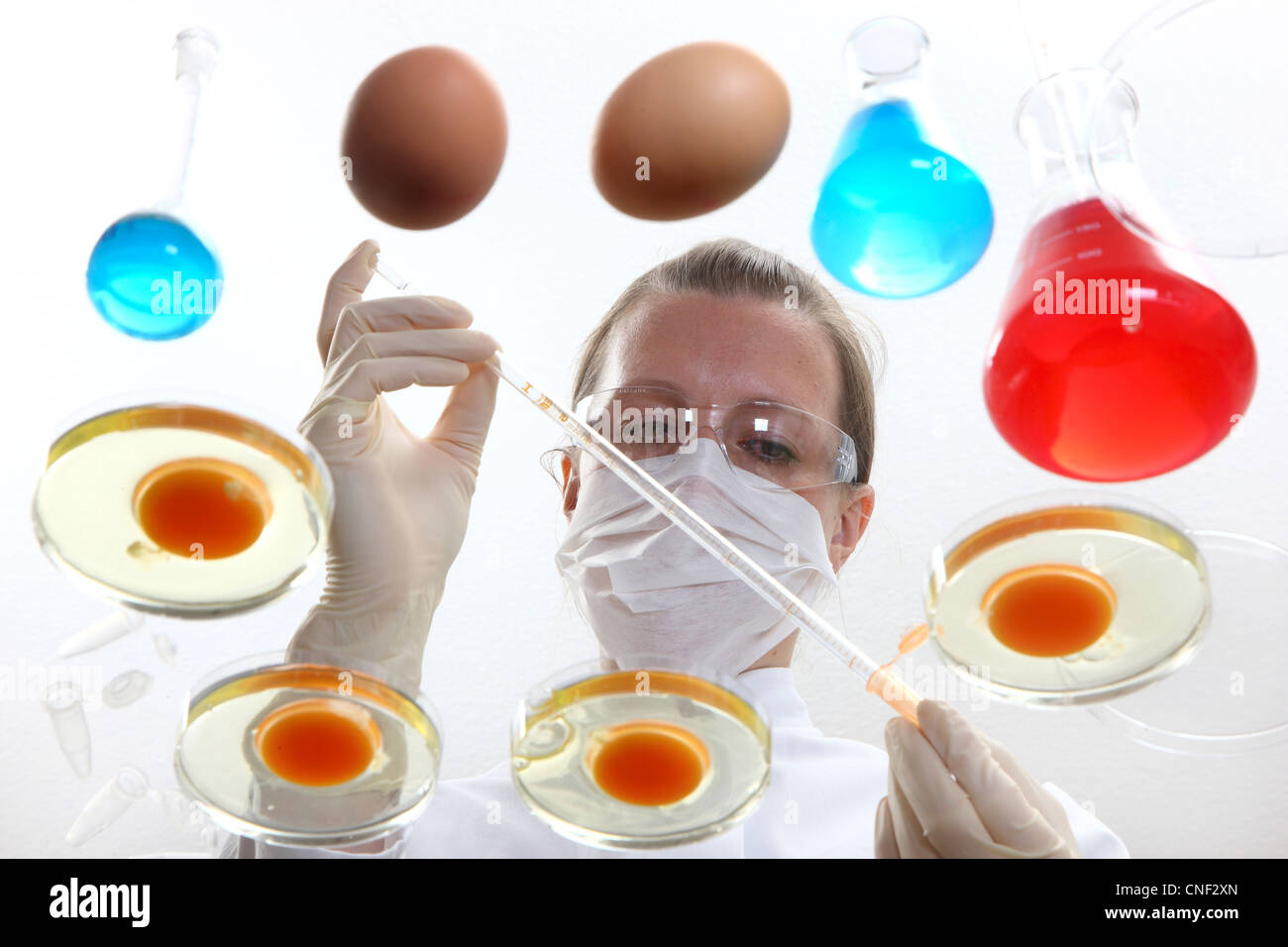 Toxic dioxins hi-res stock photography and images - Alamy
