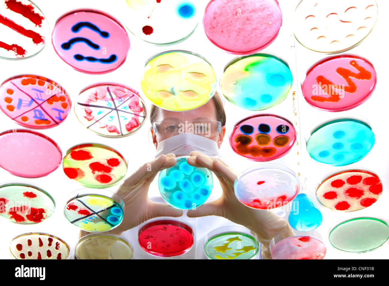 Laboratory, biological, chemical. Analysis of bacterial cultures of ... Laboratory, biological, chemical. Analysis of bacterial cultures of ...