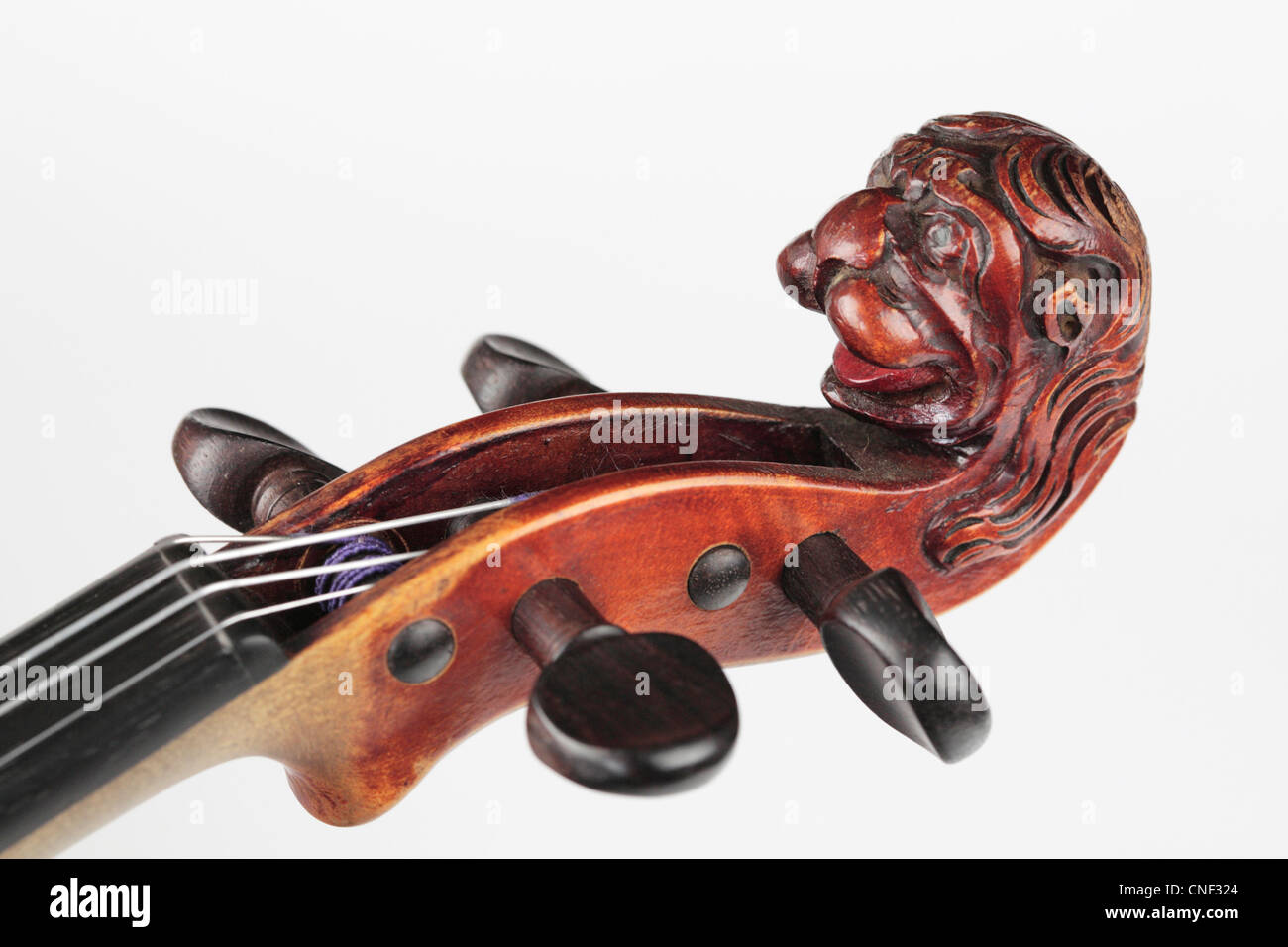 Lion's head on German Violin, circa 1890 Stock Photo - Alamy