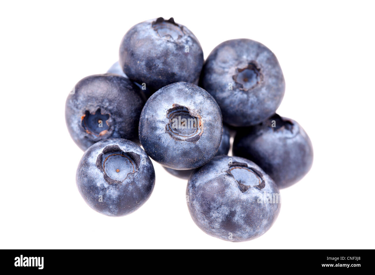 Blueberries On White Background Stock Photo - Alamy