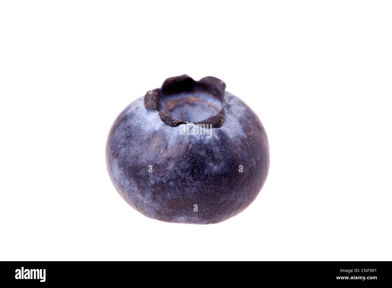 Bilberry blueberry Cut Out Stock Images & Pictures - Alamy