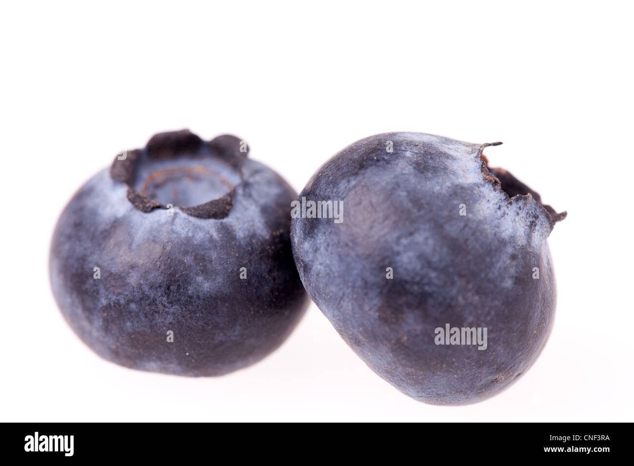 Two Blueberries Isolated Stock Photo - Alamy