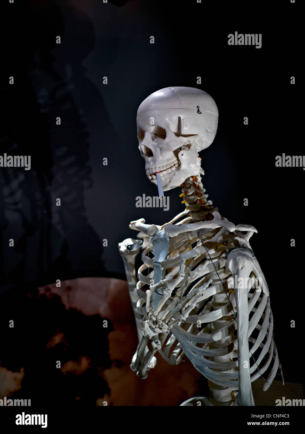 Skeleton smoking cigarette hi-res stock photography and images - Alamy
