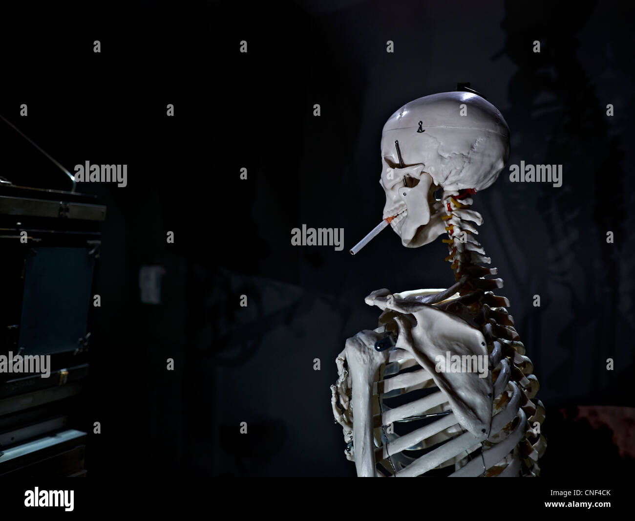 Skeleton smoking cigarette hi-res stock photography and images - Alamy