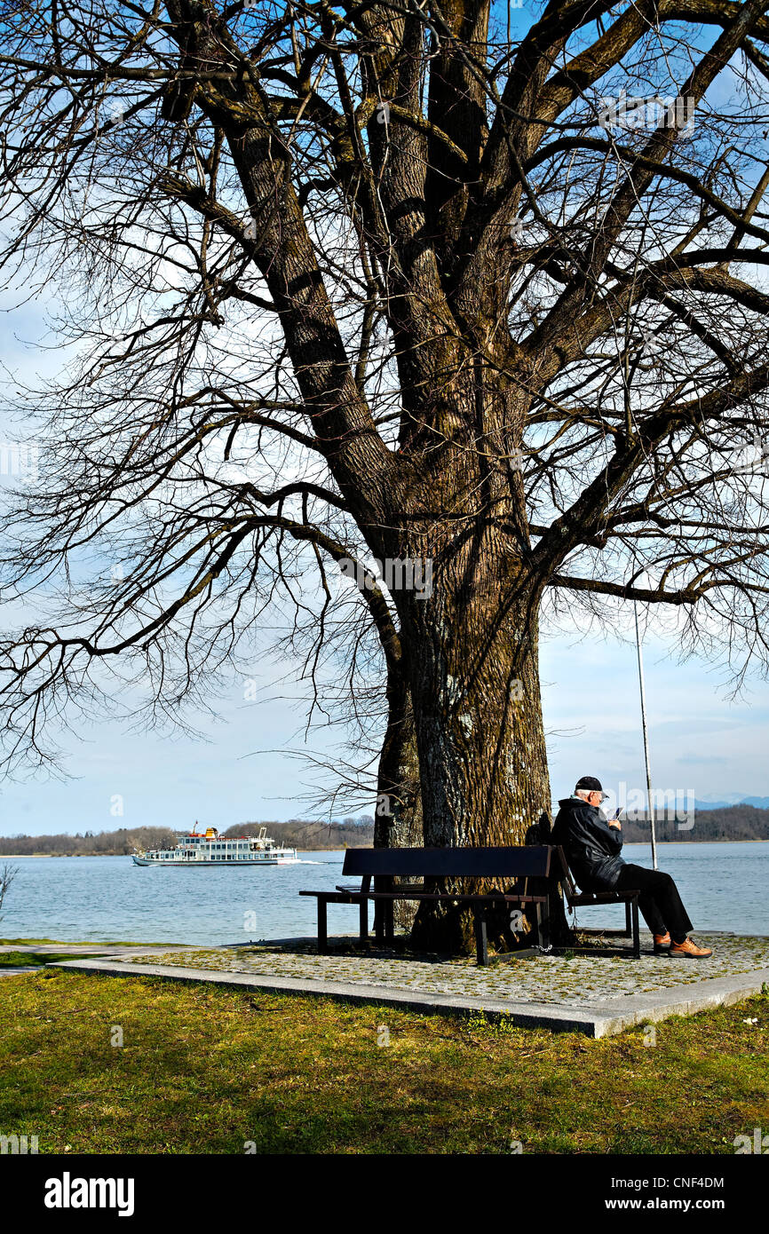 Man sitting under tree reading hi-res stock photography and images - Alamy