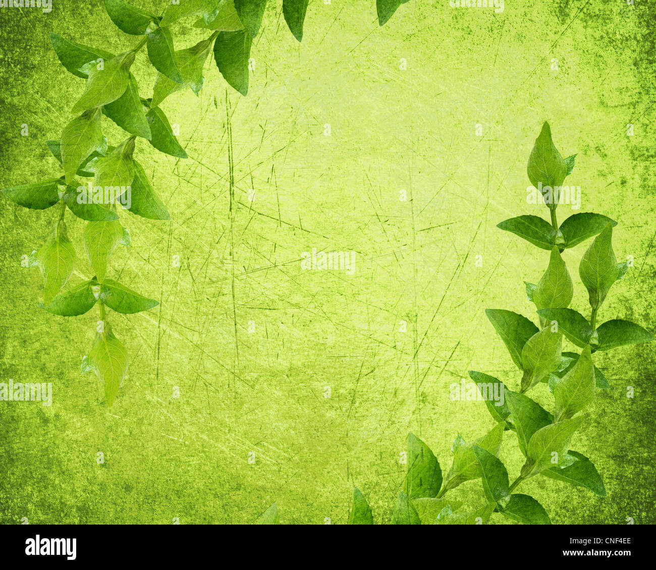 Laurel wreath background hi-res stock photography and images - Alamy