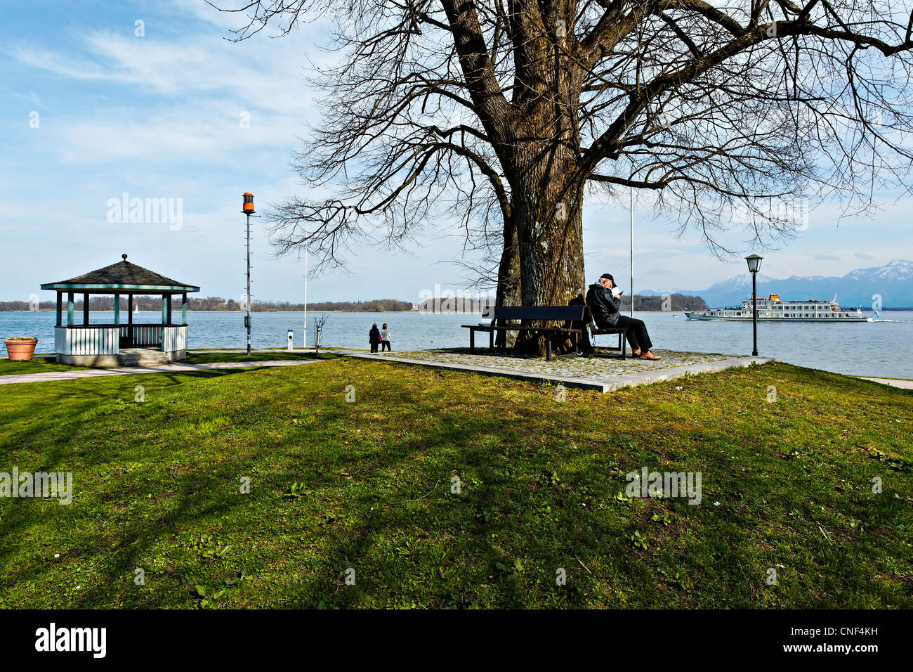 Man sitting under tree reading hi-res stock photography and images - Alamy