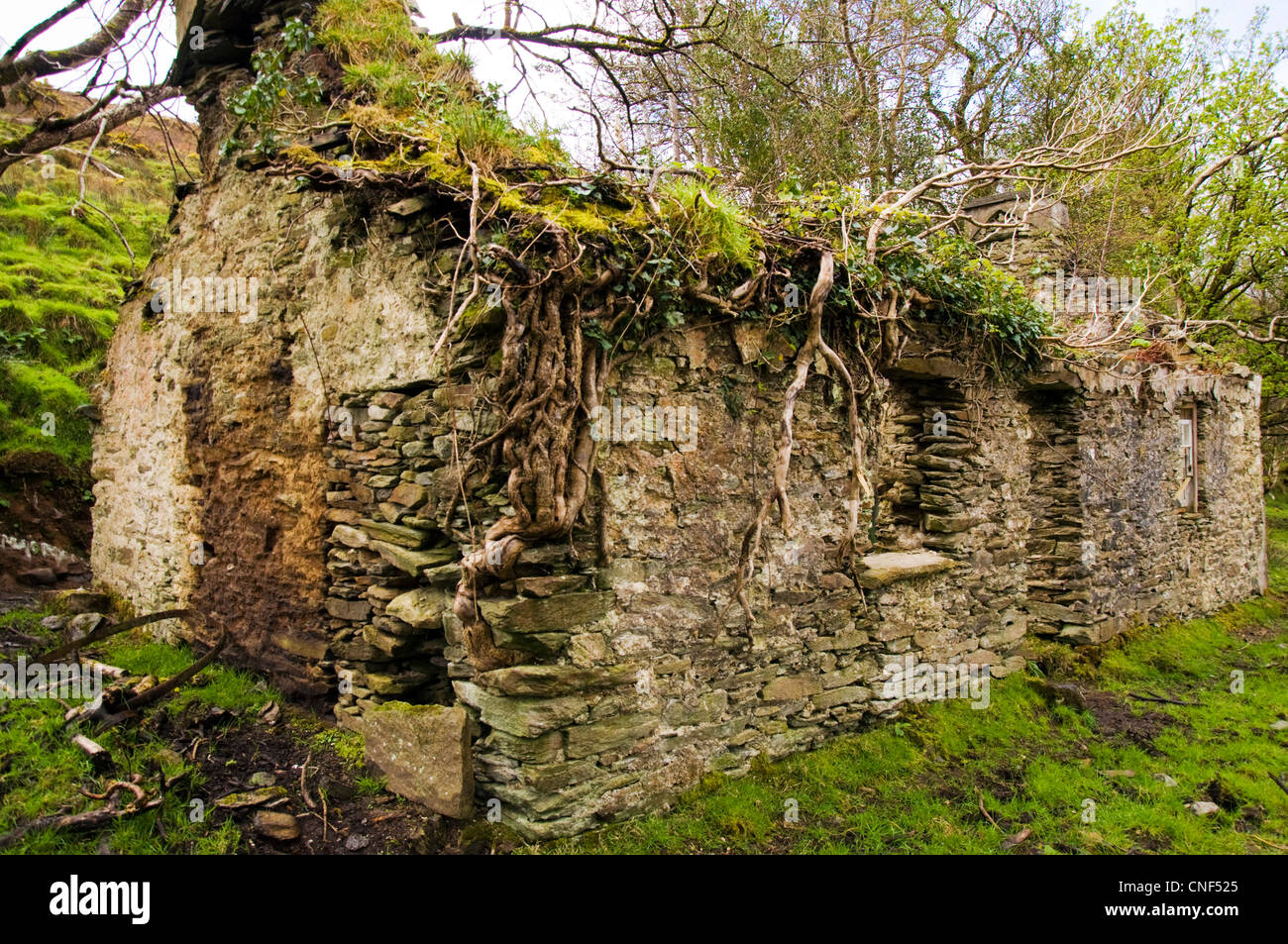 Stone age home hi-res stock photography and images - Alamy