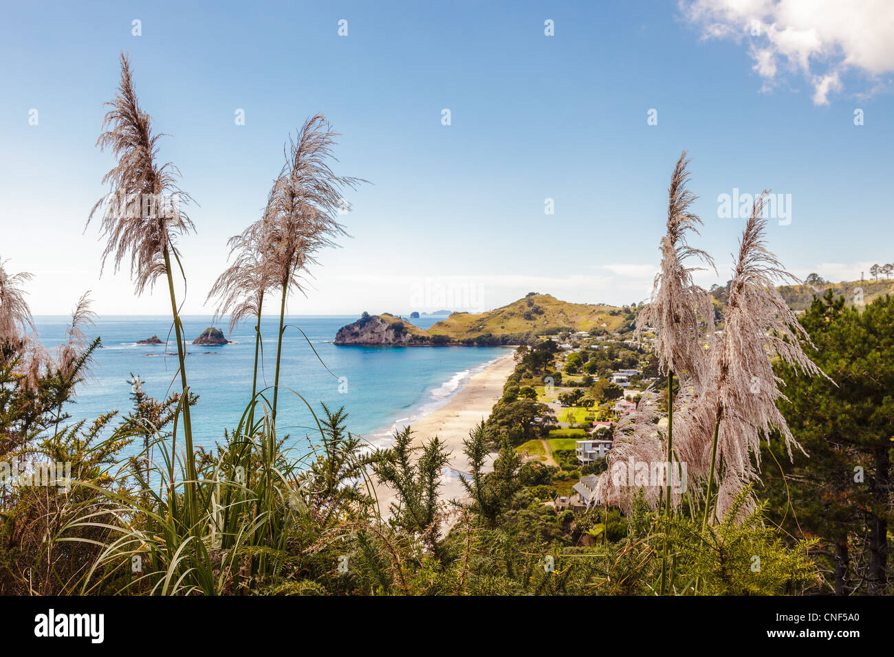 View of Hahei Stock Photo - Alamy