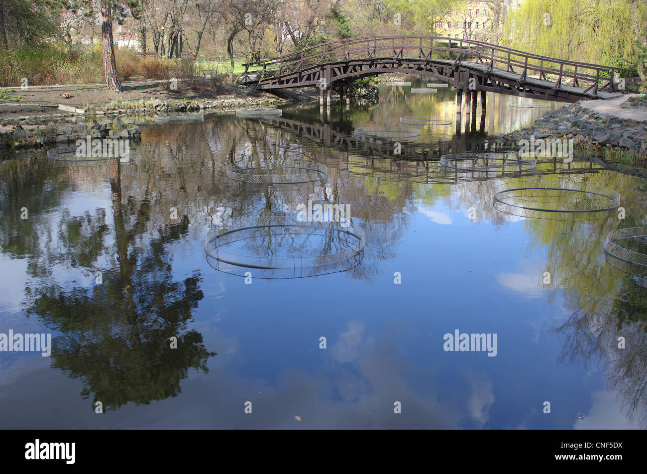Wroclaw Botanical Garden in the early spring Poland Stock Photo - Alamy
