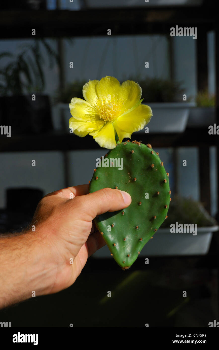 Online Coding Clubs – Free Coding Classes For Kids – TAVSK