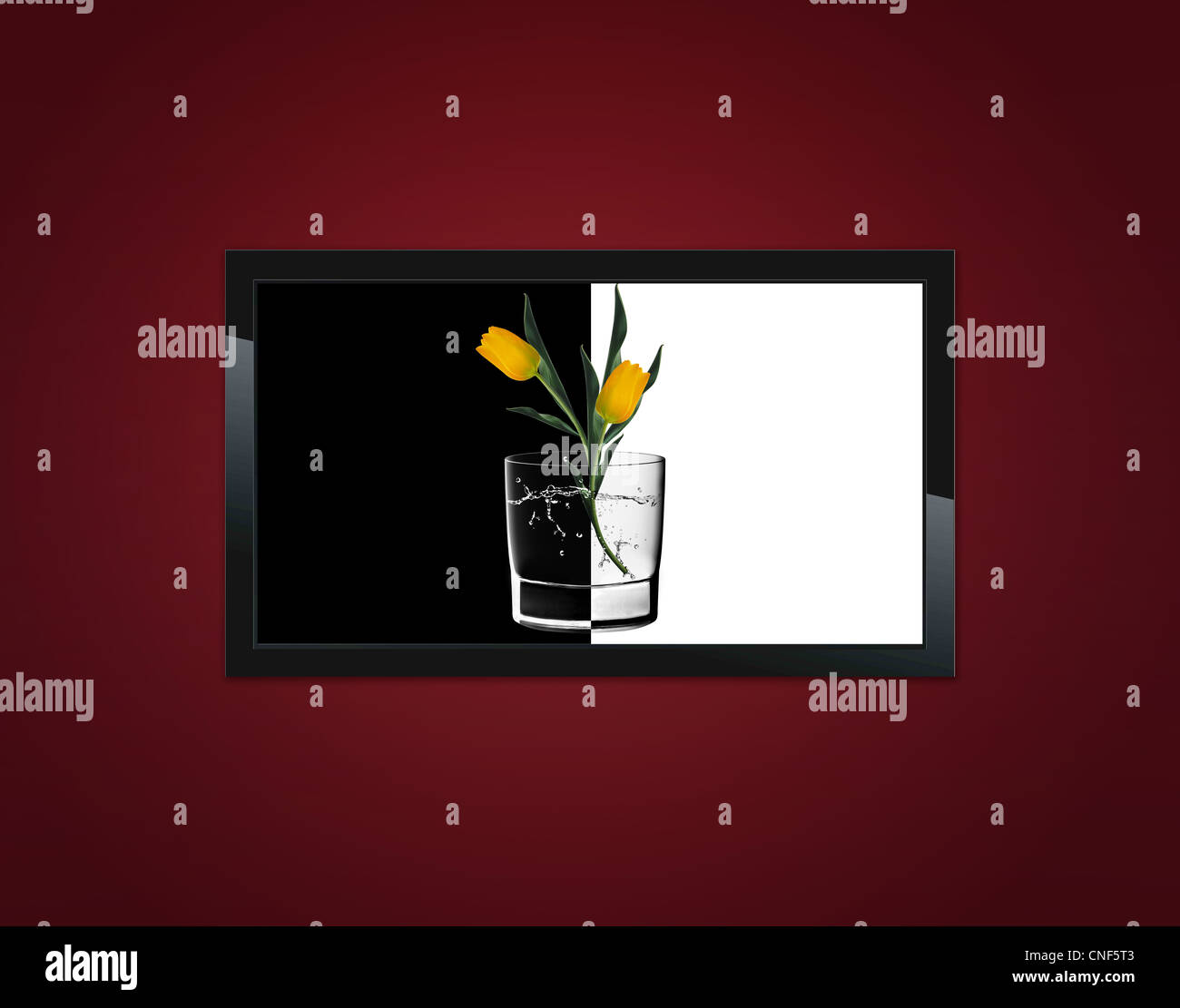 Black LCD tv screen hanging on a wall Stock Photo - Alamy