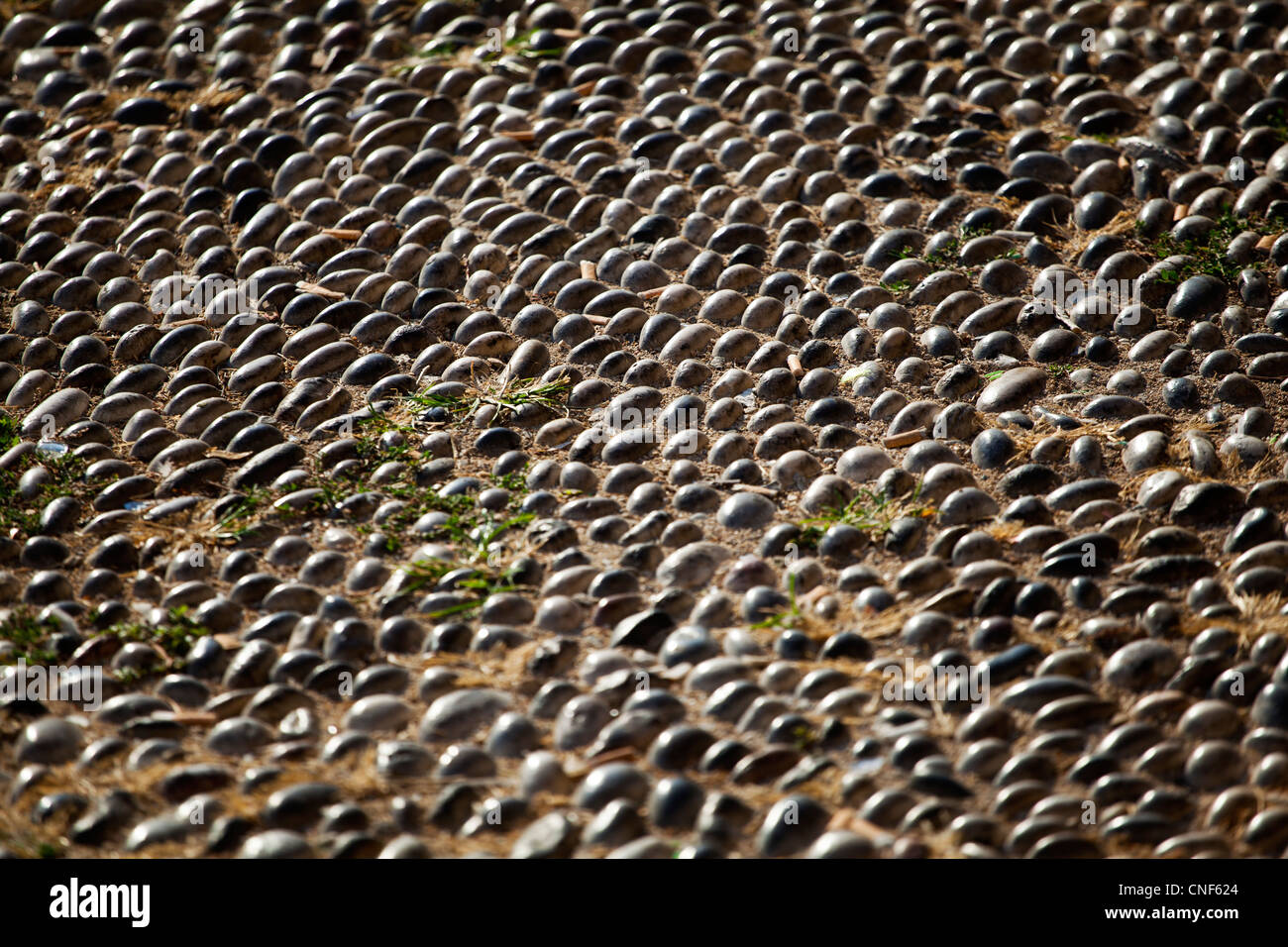 Traditional greek walkway path made of black and white rocks. Sides of ...