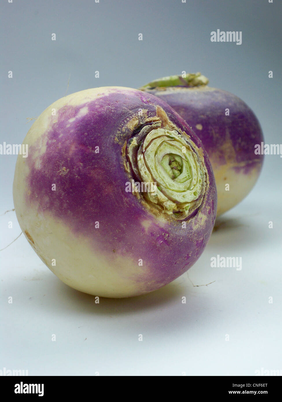 purple headed turnips on white background Stock Photo - Alamy