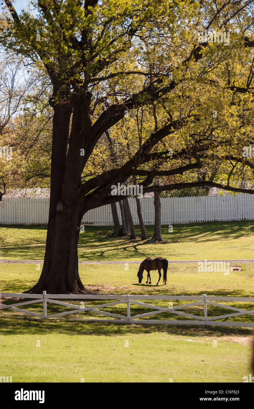 Elvis Presley's home and museum Graceland, paddock Stock Photo - Alamy