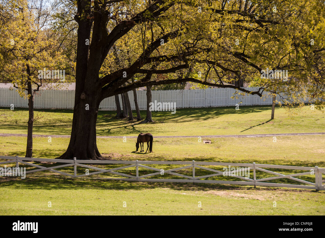 Elvis Presley's home and museum Graceland, paddock Stock Photo - Alamy