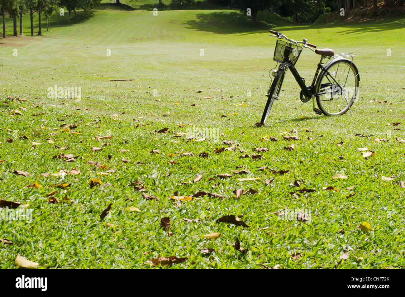 a bicycle is parked on green grass field Stock Photo - Alamy