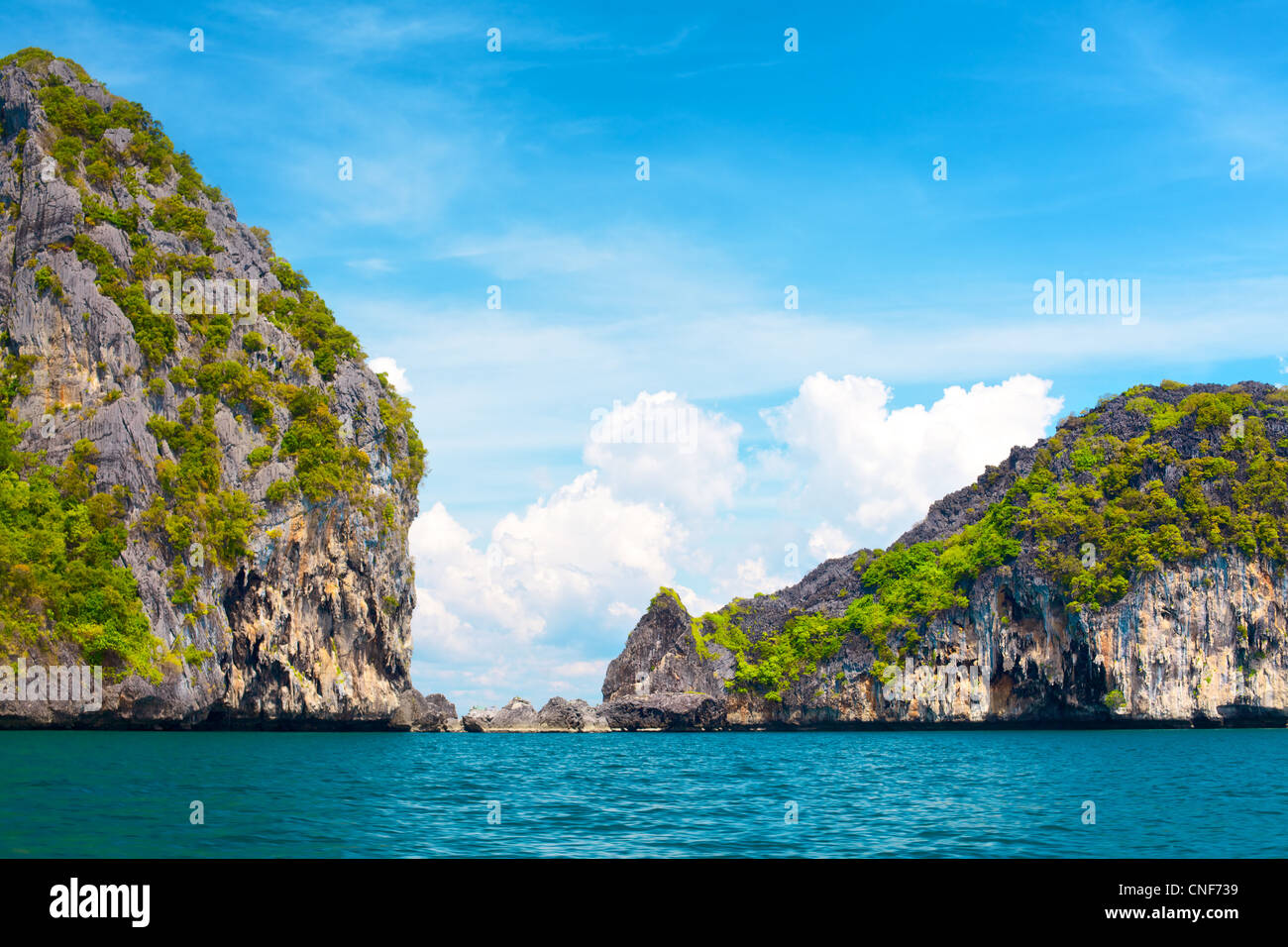 tall cliff with trees at Andaman Sea, Thailand Stock Photo - Alamy