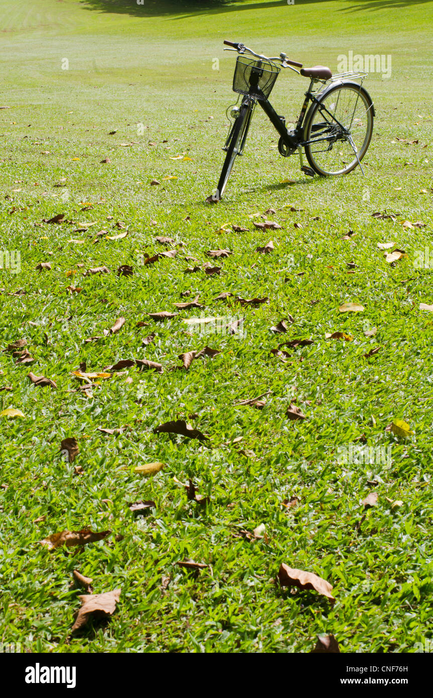 bicycle park at the background of grass field Stock Photo - Alamy