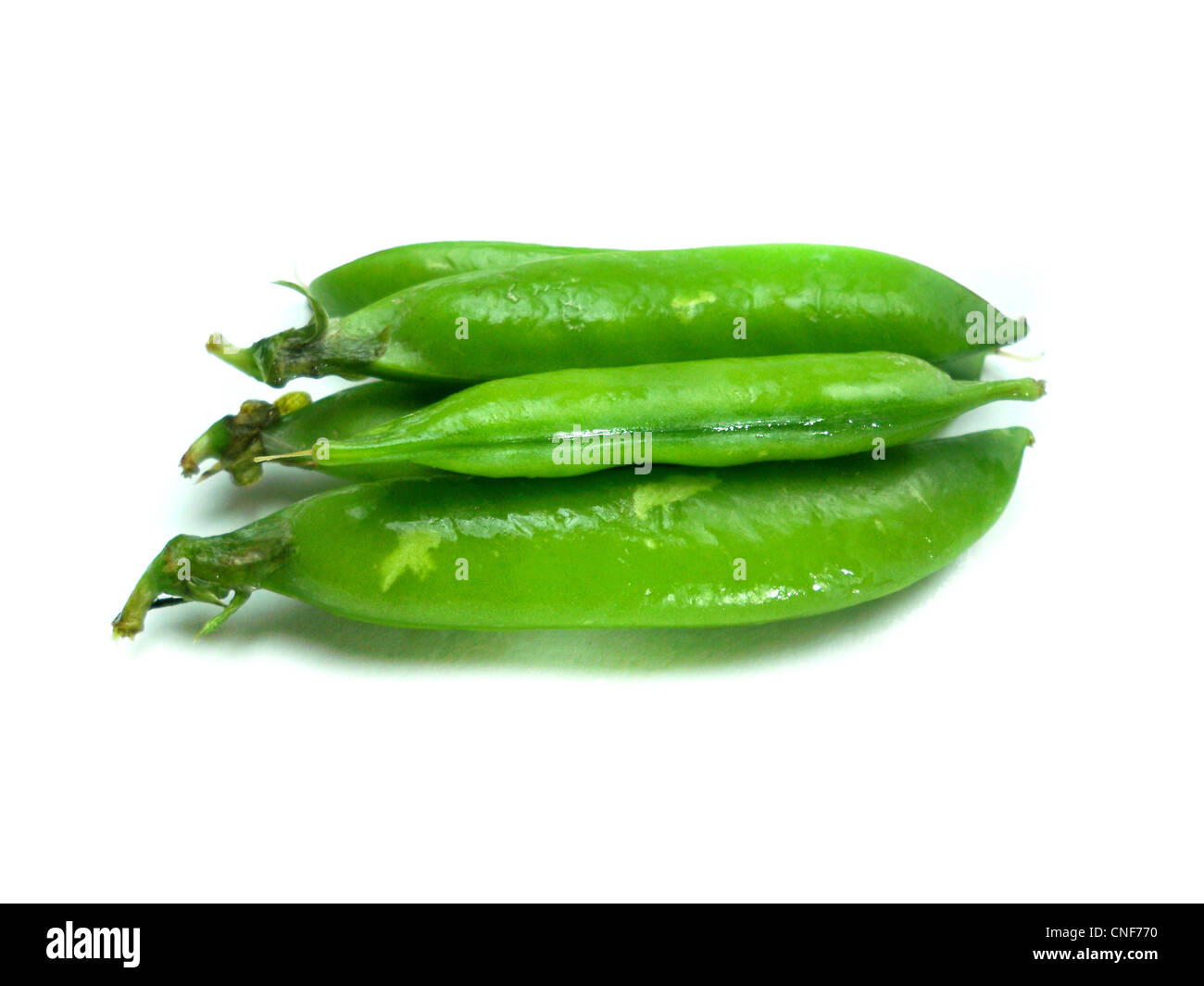 bunch of broad beans on a white background Stock Photo - Alamy