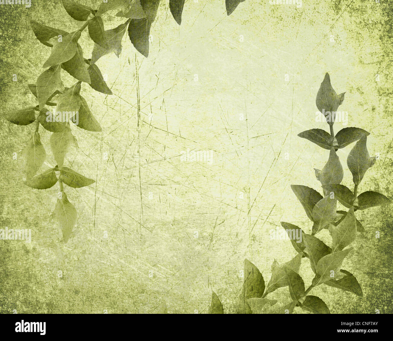 Laurel wreath background hi-res stock photography and images - Alamy