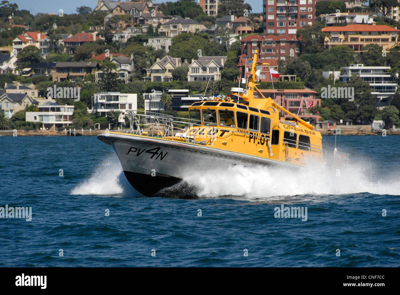 Pilot boat on Sydney Harbour NSW Australia Stock Photo - Alamy