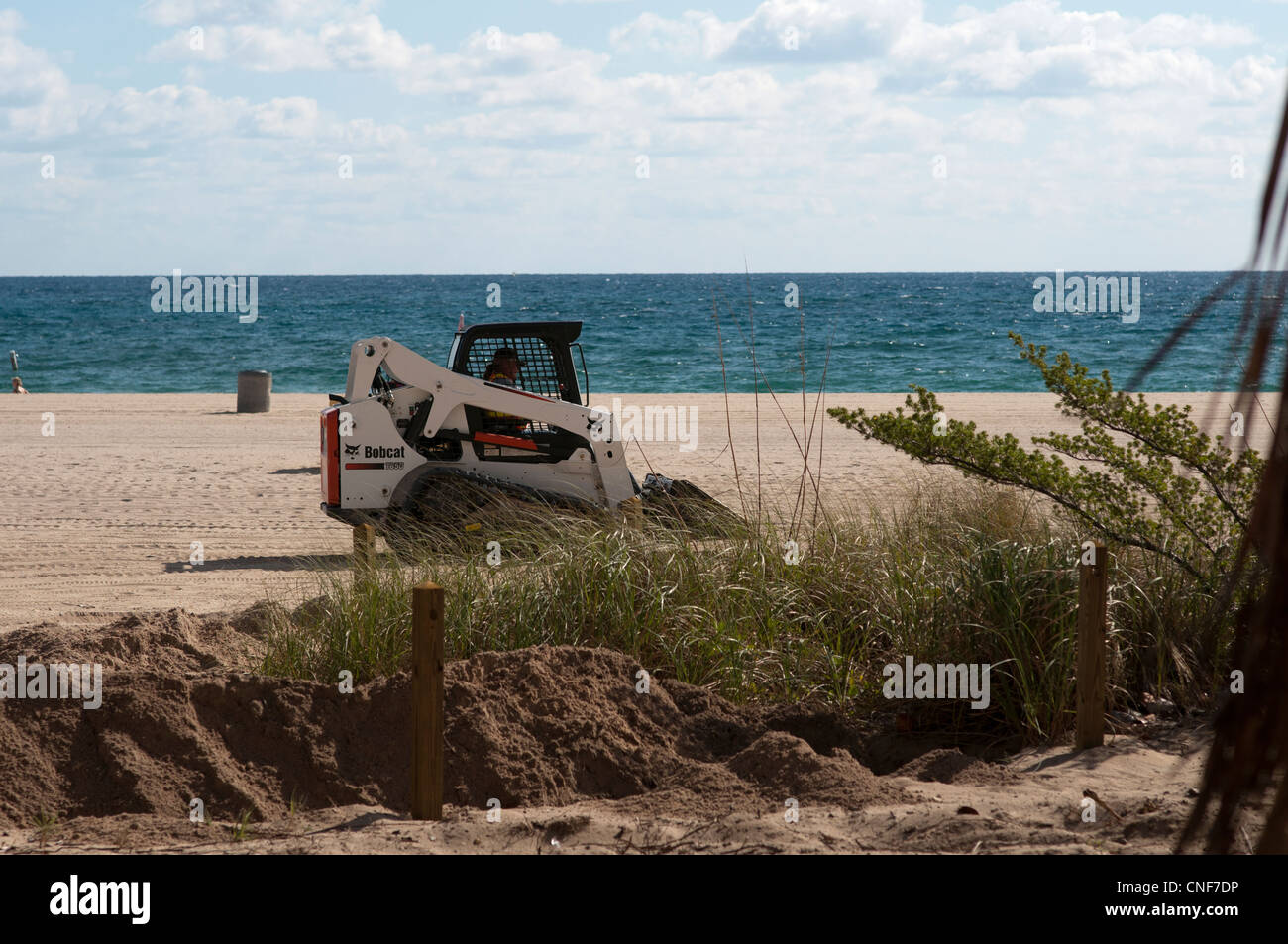 Bobcat maintaining beach Stock Photo - Alamy