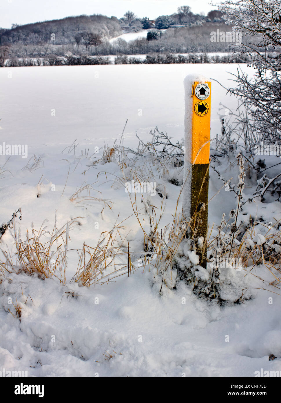 A yellow wooden signpost with 2 arrow signs on it covered in snow. The ...