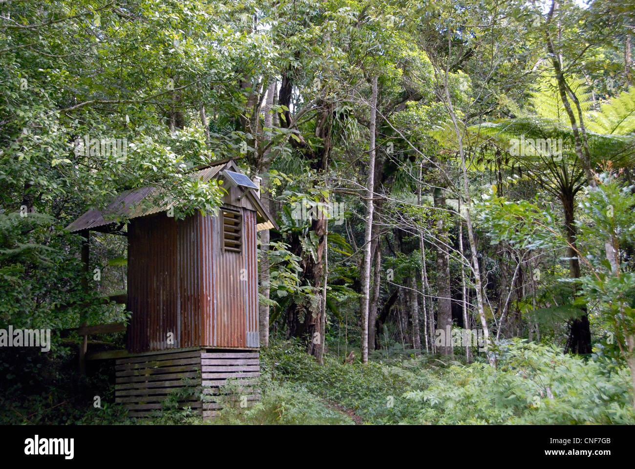 Traditional Australian outdoor dunny in rain forest in Lamington ...