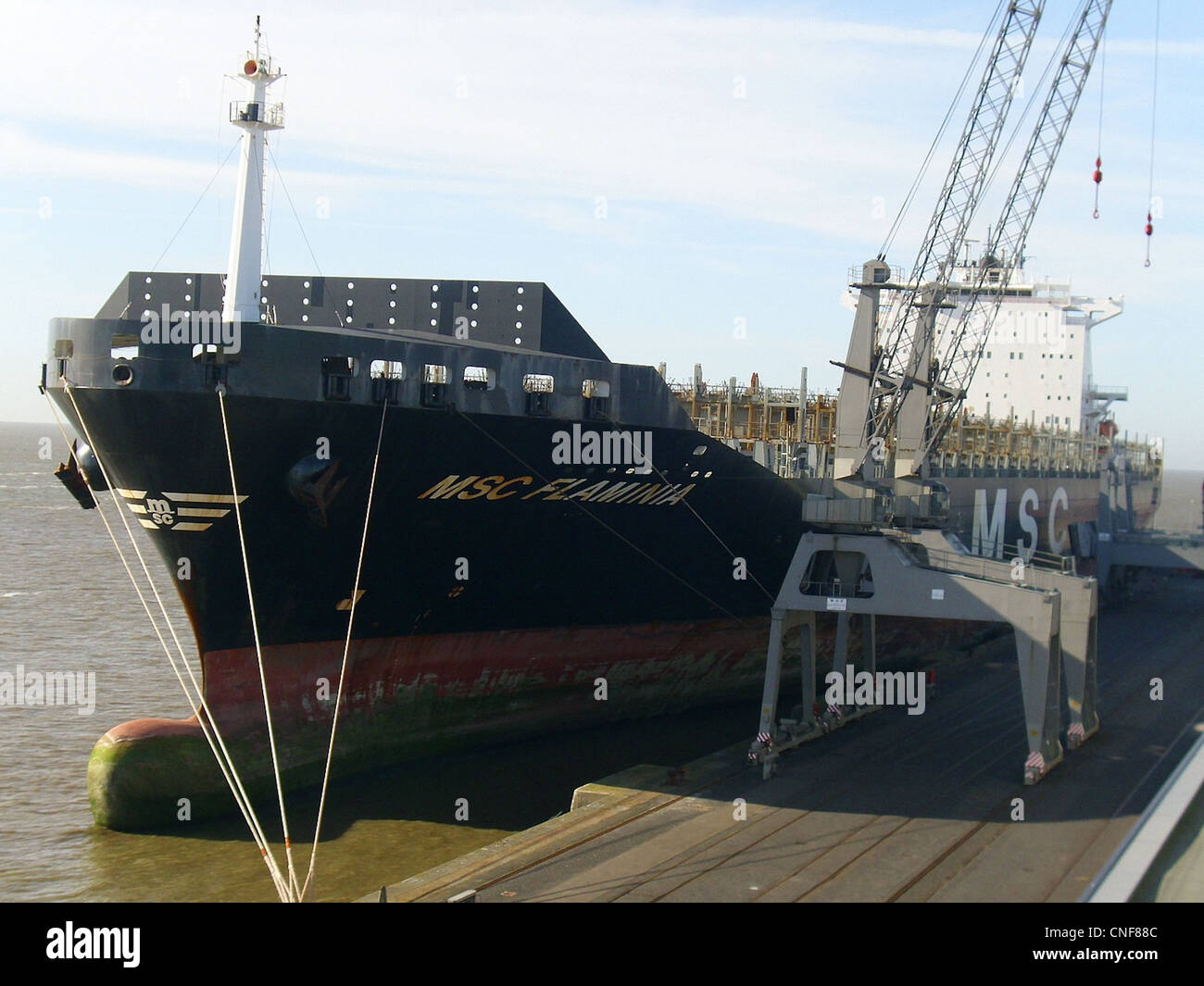 The MSC Flaminia is a large container ship currently moored in ...