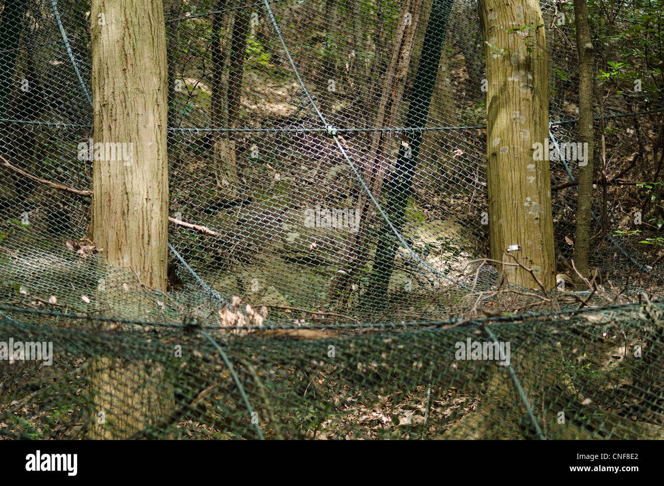 Landslide protection hi-res stock photography and images - Alamy