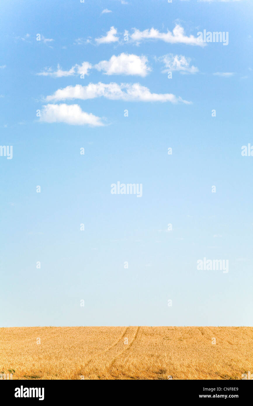 Open area food hi-res stock photography and images - Alamy