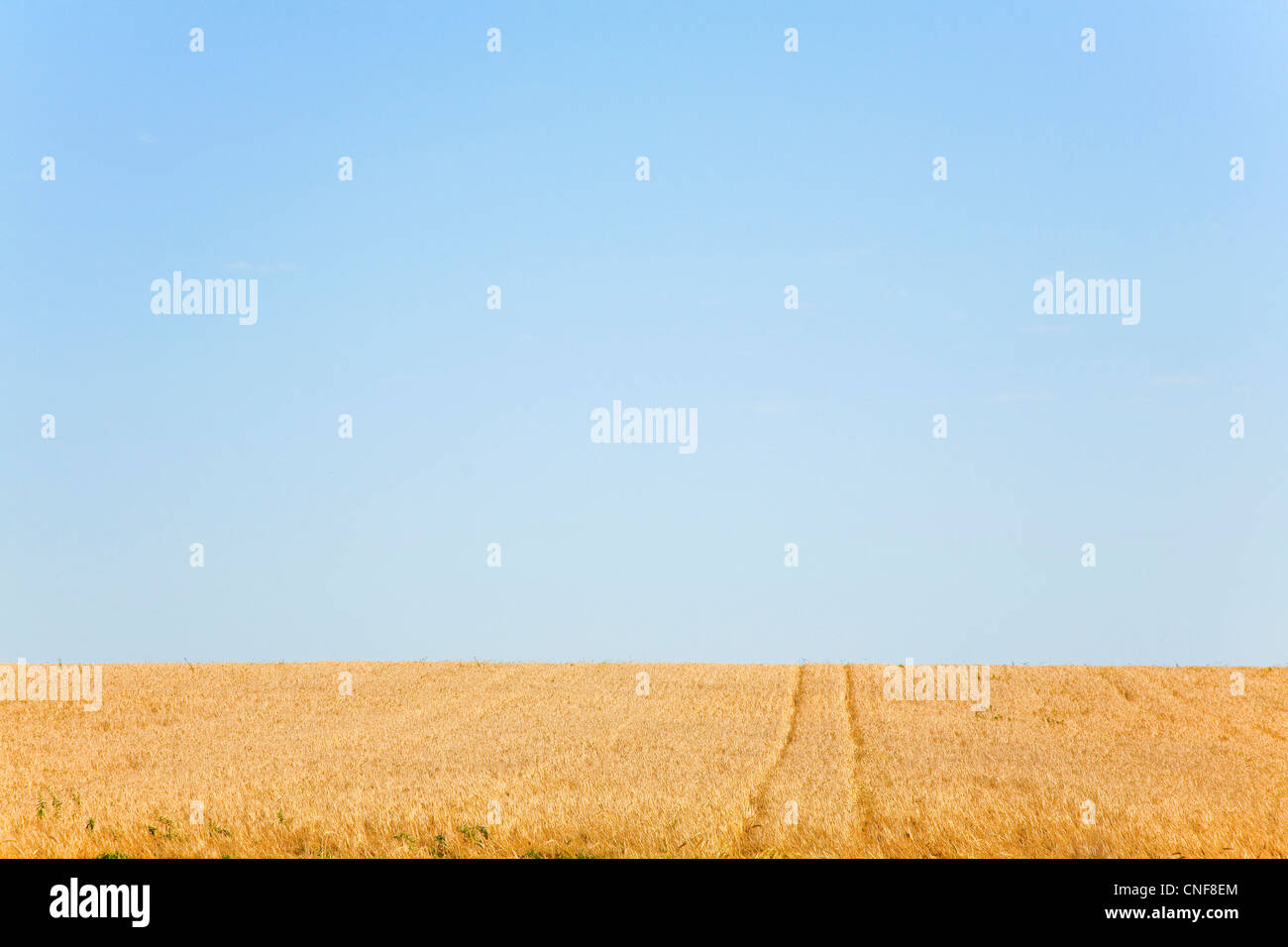 Open field agriculture hi-res stock photography and images - Alamy