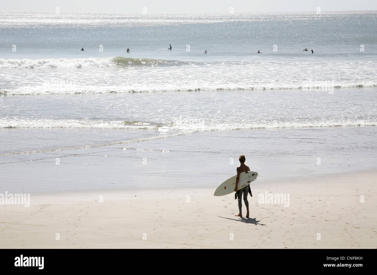 Surfer with surf board on beach walking towards the ocean with surfers ...