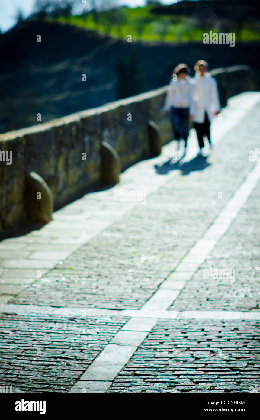 Stone Bridge at Puente La Reina village, Navarre, Spain Stock Photo - Alamy