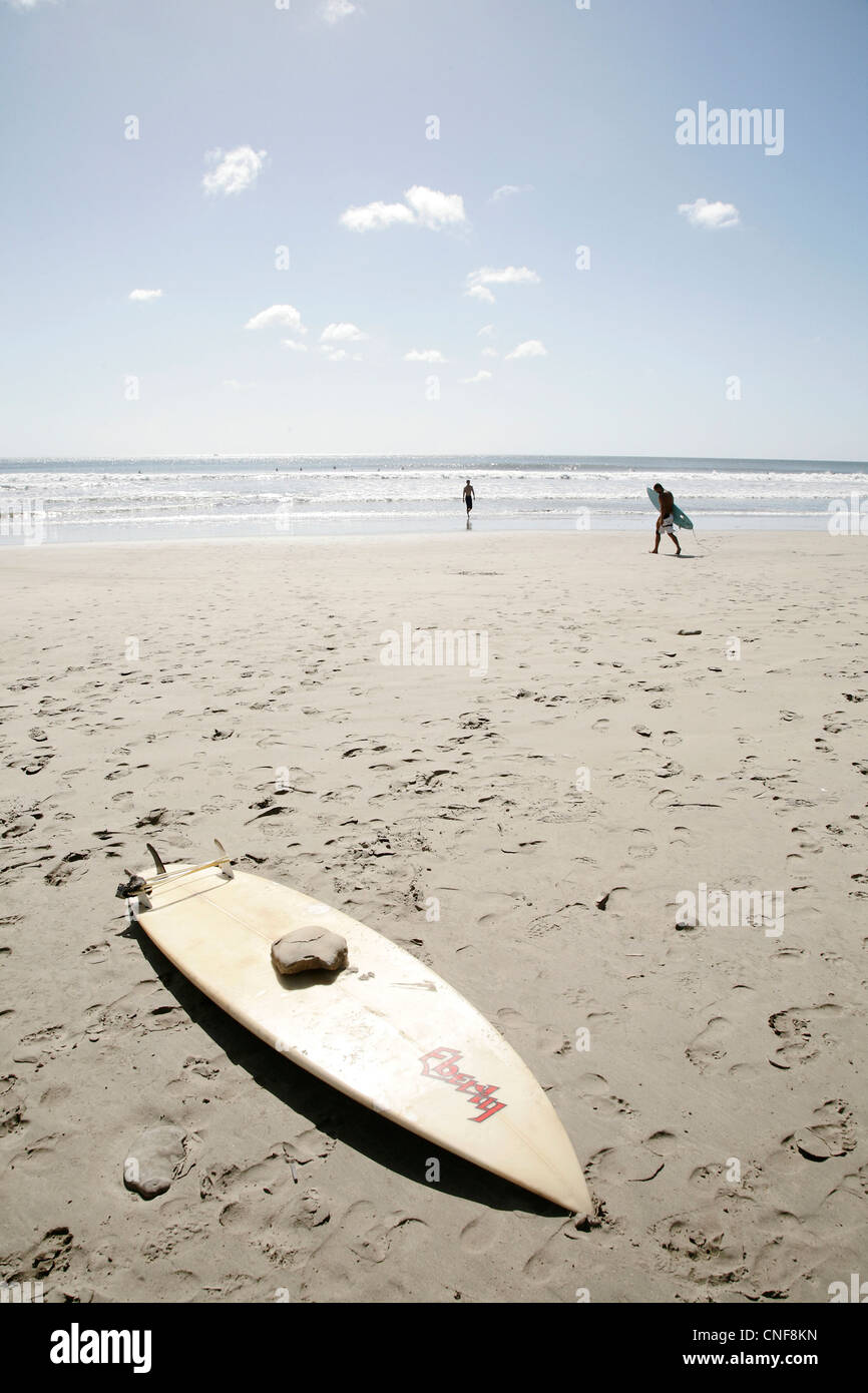 Board surfers hi-res stock photography and images - Alamy