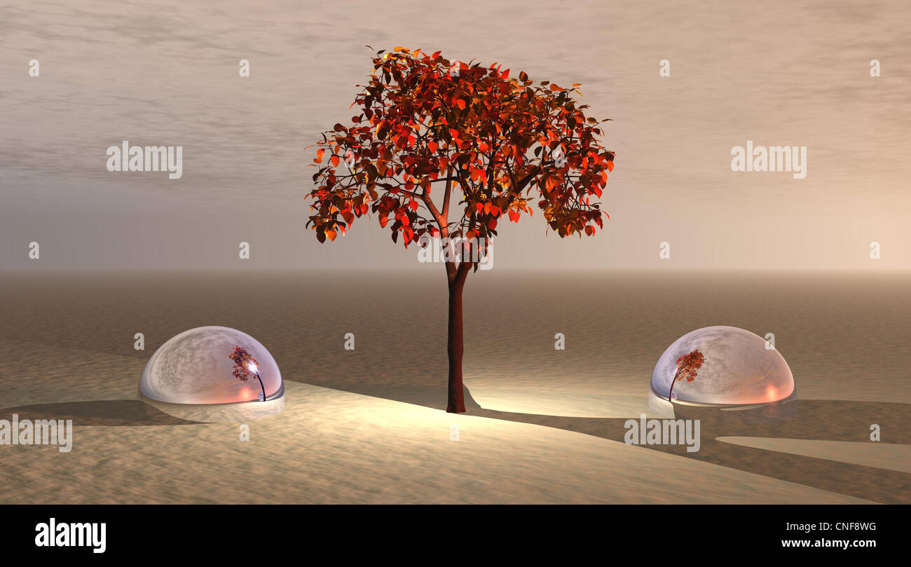 tree orange and two balls Stock Photo - Alamy