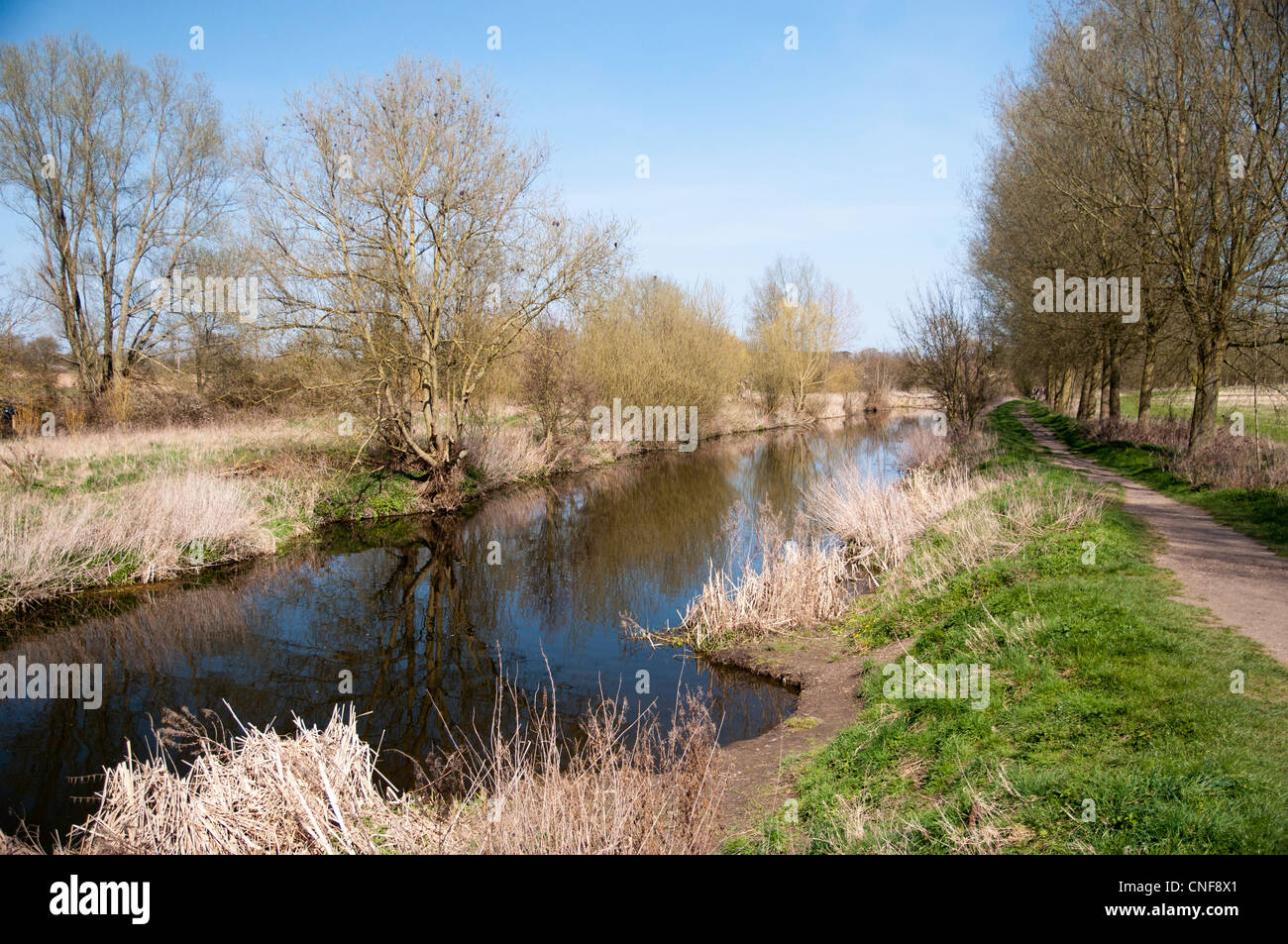 Tree lined river hi-res stock photography and images - Alamy