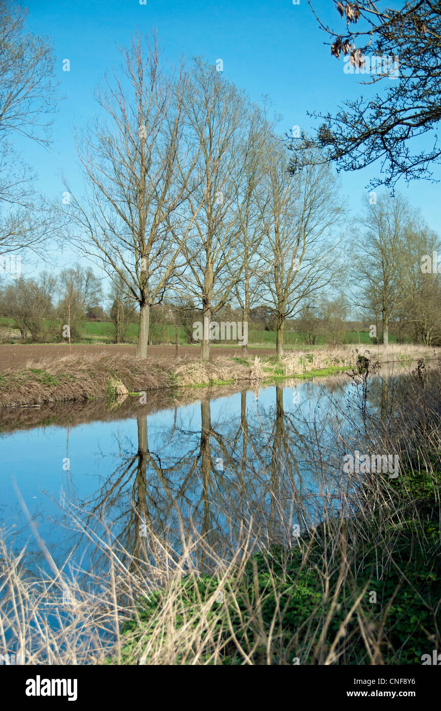 Treelined riverbank hi-res stock photography and images - Alamy