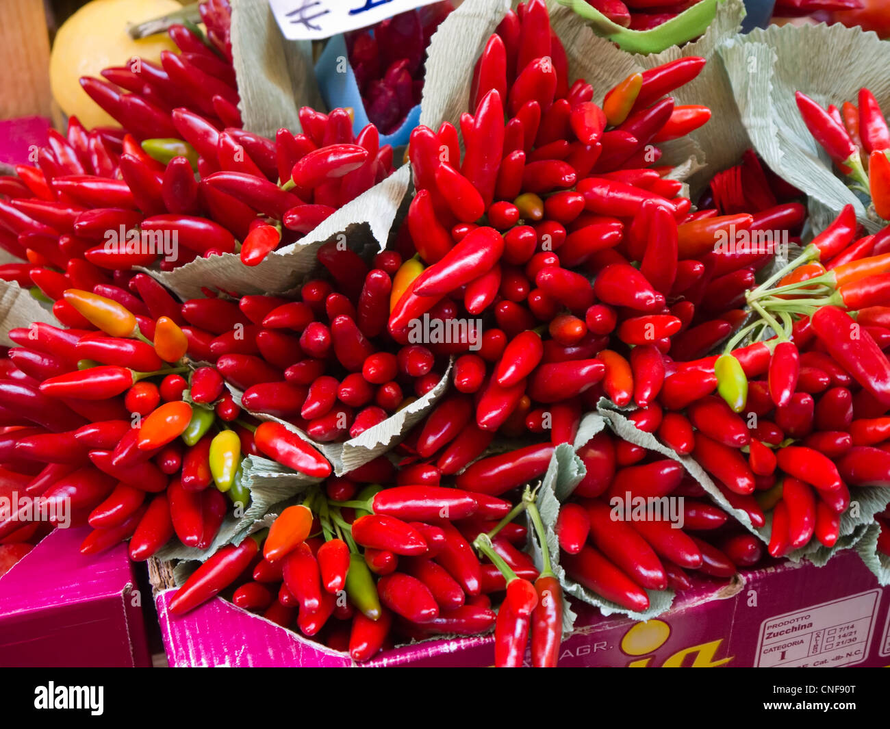 chilli peppers in the Beautiful Medieval City of Bologna Italy Stock ...