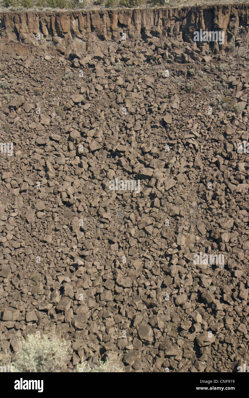 Background - basalt cliffs and talus from ancient lava flow, Crooked ...