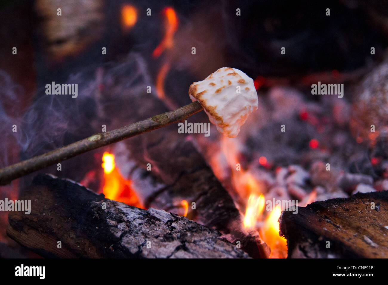 Marshmallow On A Stick Over A Fire