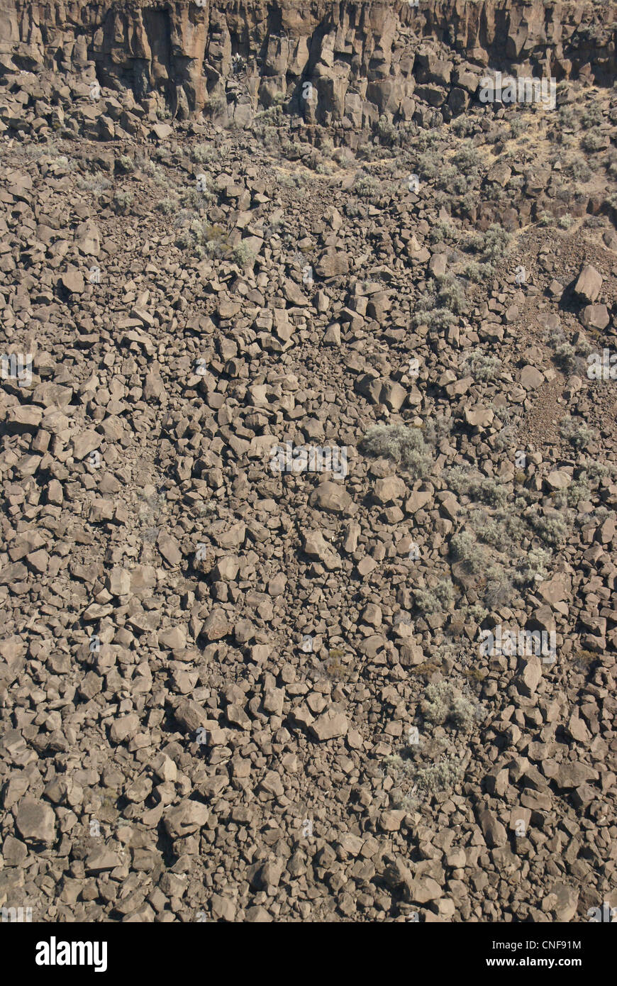 Background - basalt cliffs and talus from ancient lava flow, Crooked ...