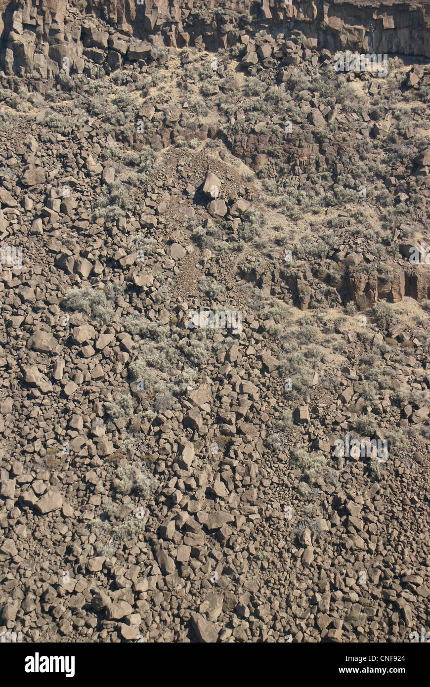 Background - basalt cliffs and talus from ancient lava flow, Crooked ...