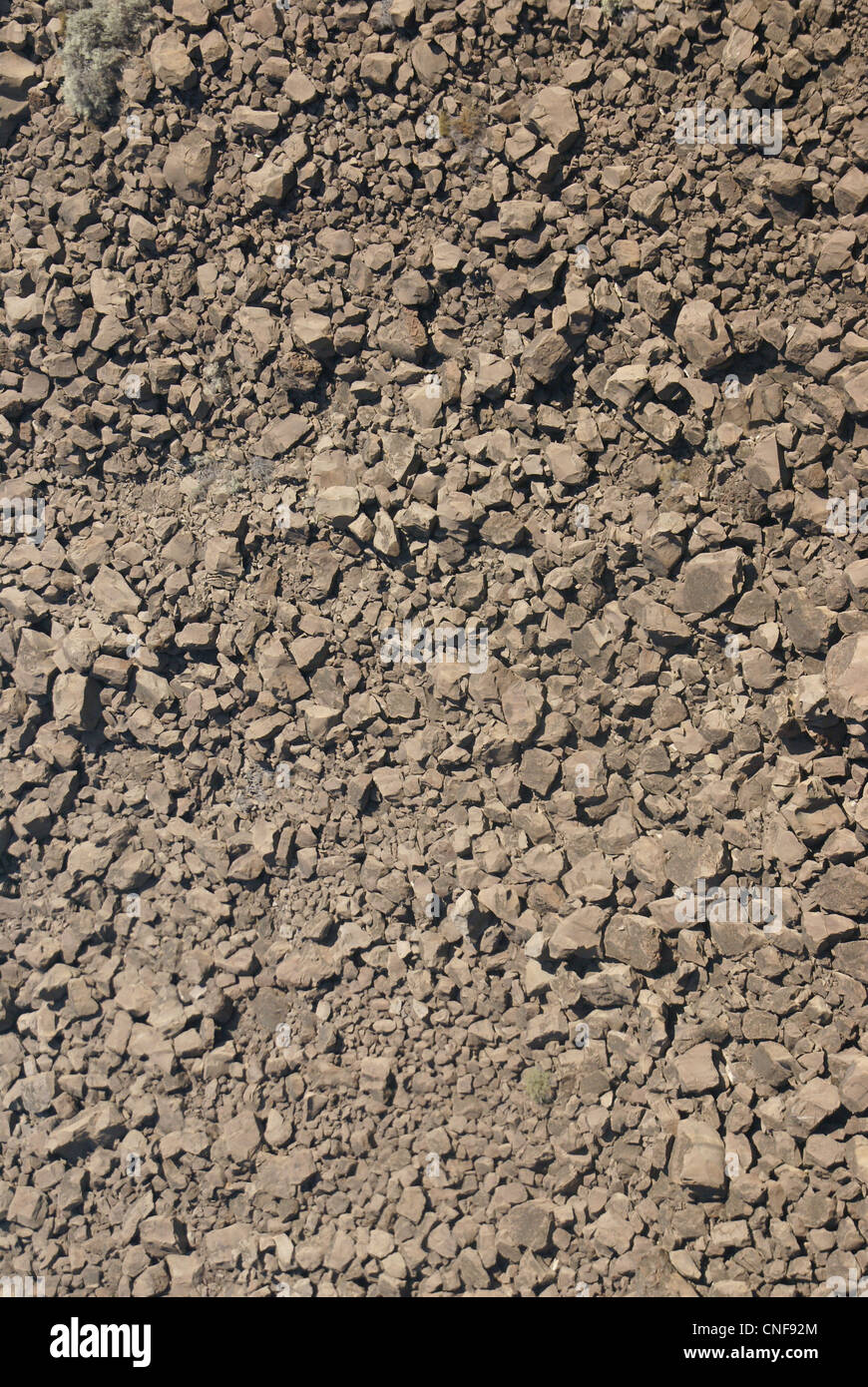 Background - basalt cliffs and talus from ancient lava flow, Crooked ...