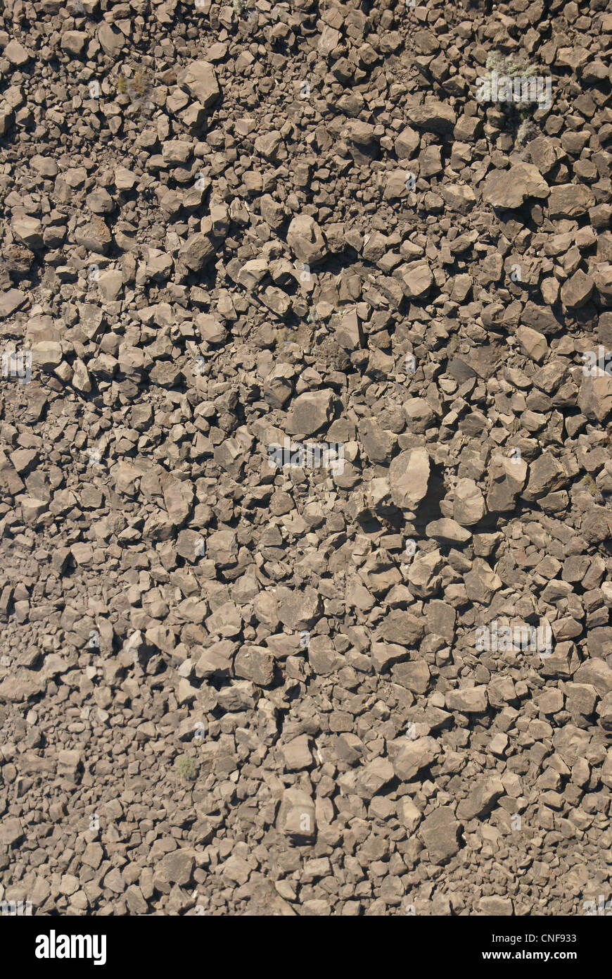 Background - basalt cliffs and talus from ancient lava flow, Crooked ...